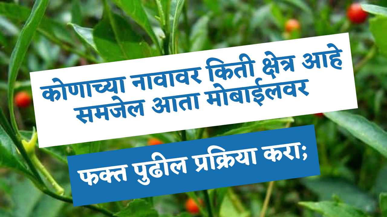 Krushi Sangham - || शेतकरी टिकेल तर शेत पिकेल