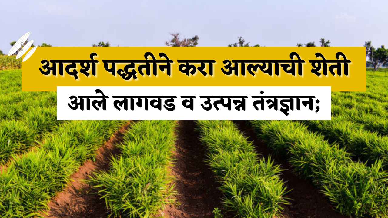 Krushi Sangham - || शेतकरी टिकेल तर शेत पिकेल